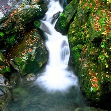 Muyu - หน้า [4] - โลกความรู้สารานุกรม